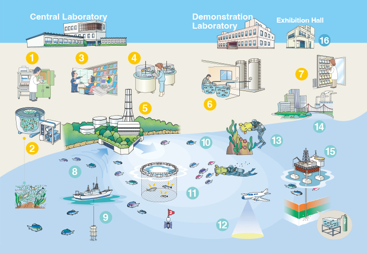 Marine Ecology Research Institute